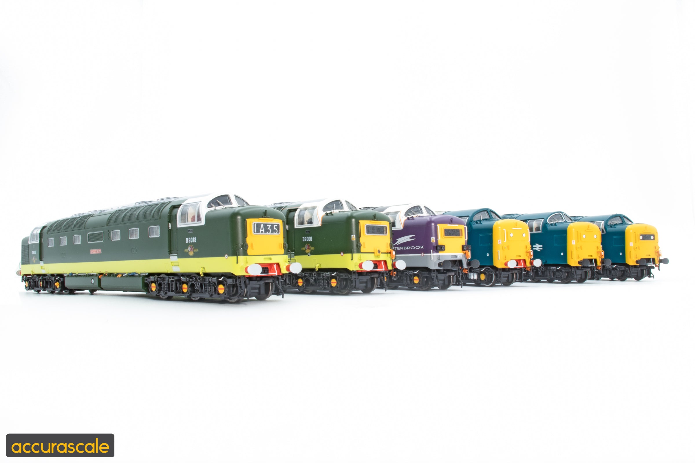 Class 55 Deltic Run 2 Update February 2024 - Decorated Samples Reveale ...